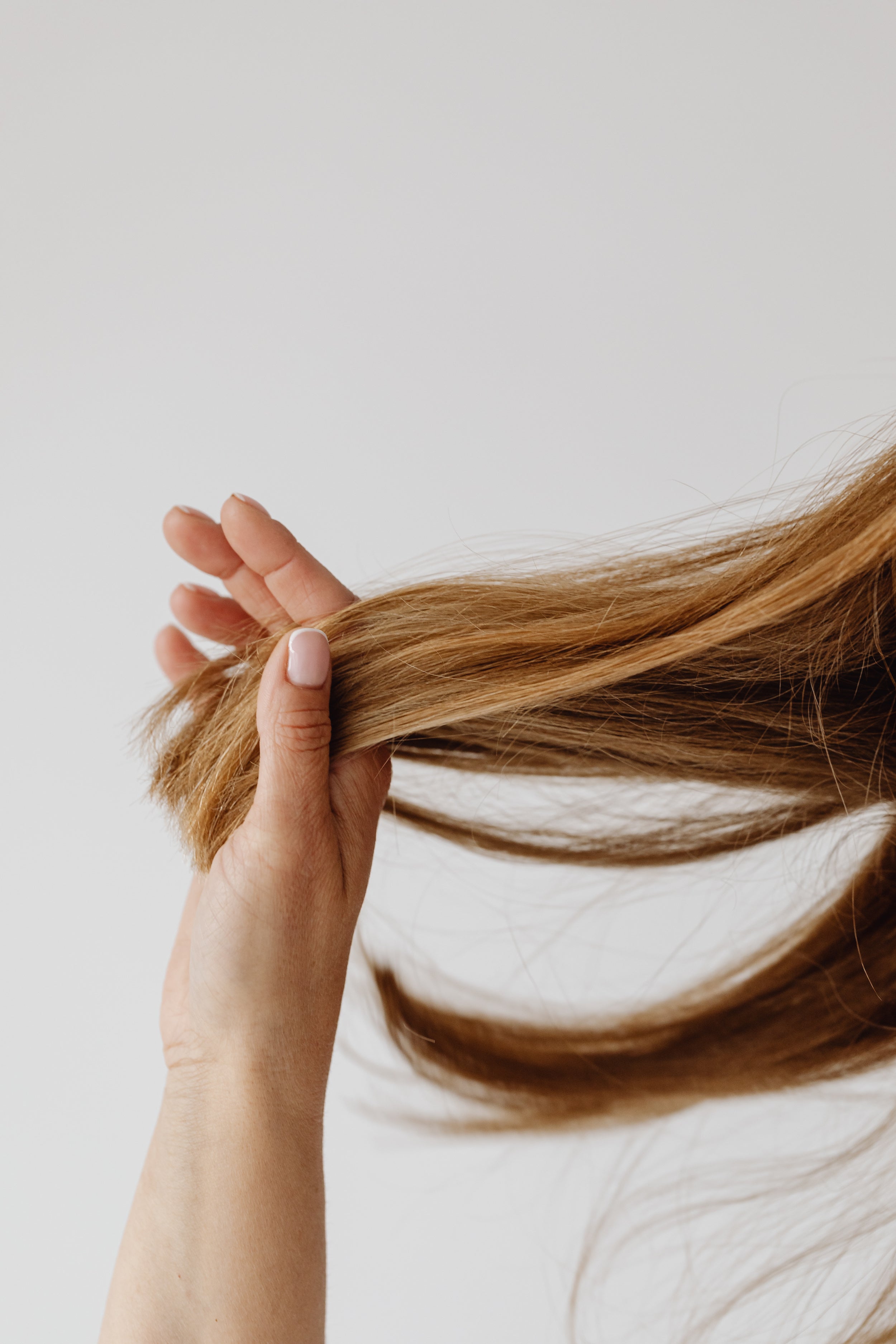 Tips for long, luscious hair – Zohi